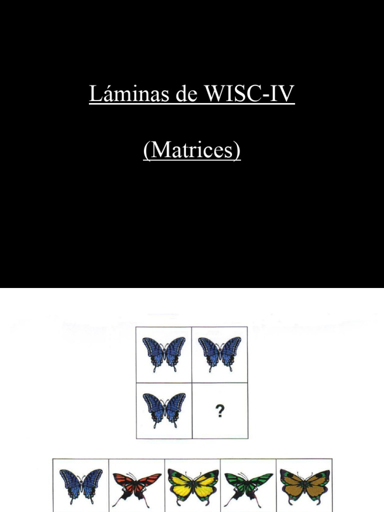 Láminas de WISC-IV (Matrices) | PDF