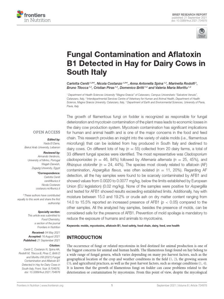 Fungal_Contamination_and_Aflatoxin_B1_Detected_in_ | PDF | Mycotoxin | Fungus
