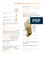 Anatomia da Região Glútea: Estruturas e Funções | PDF | Anatomia dos ...
