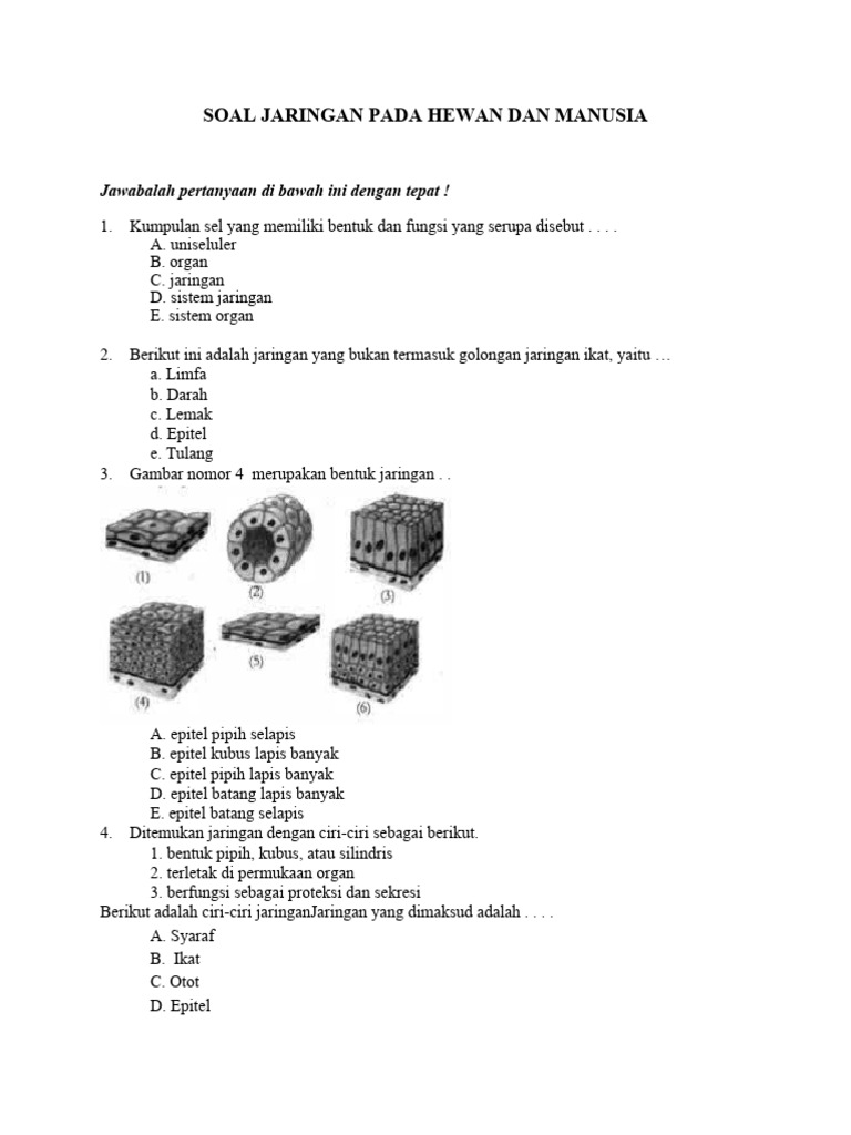 Soal Jaringan Biologi | PDF | Sains & Matematika