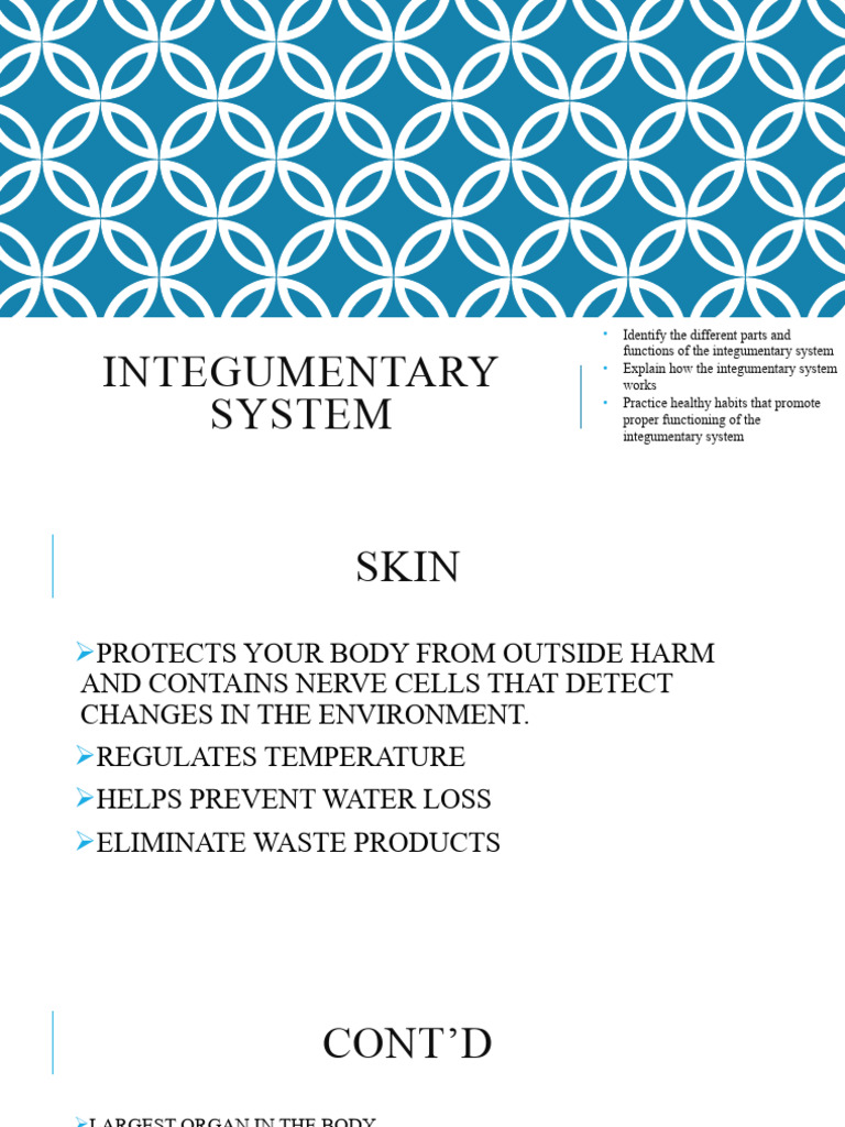 Integumentary System Pdf