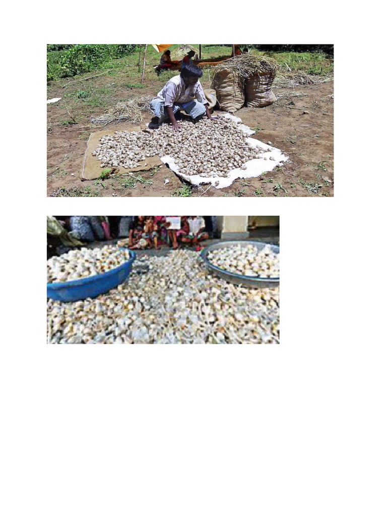 Bumper Production | PDF