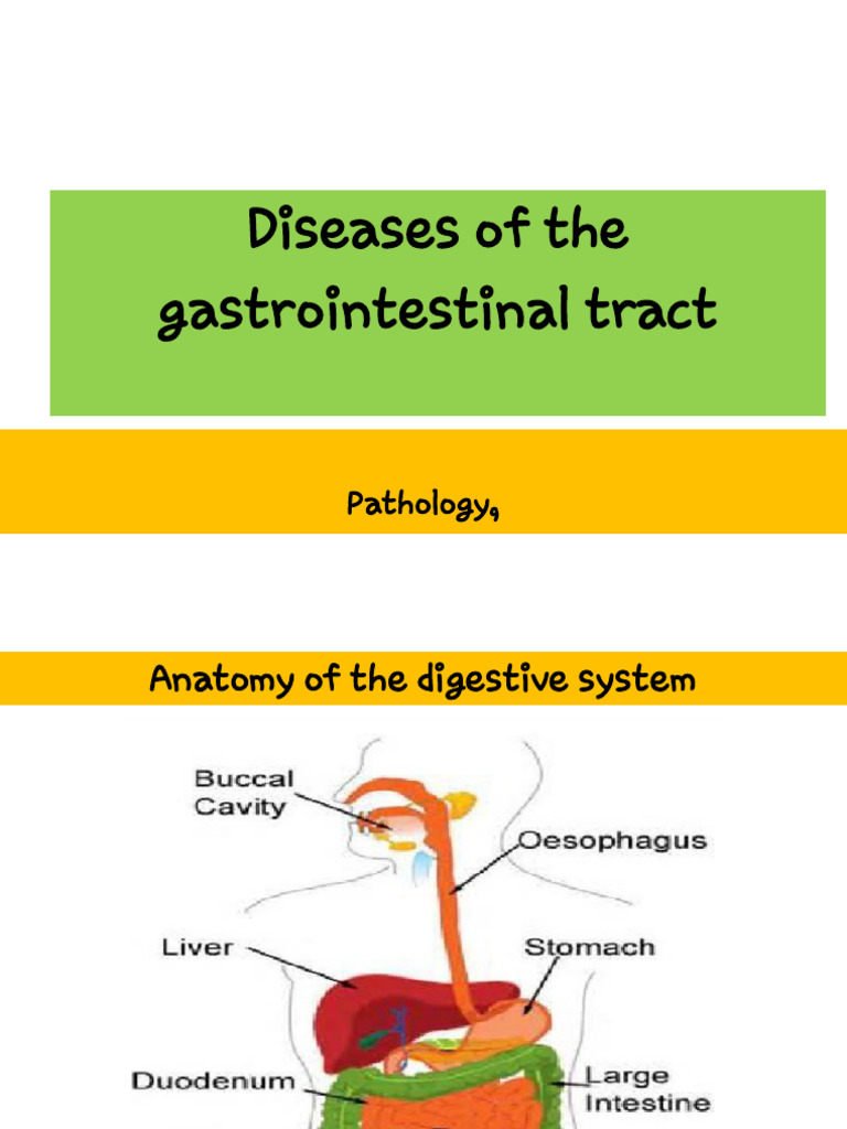 GIT Diseases | Download Free PDF | Esophagus | Esophageal Cancer