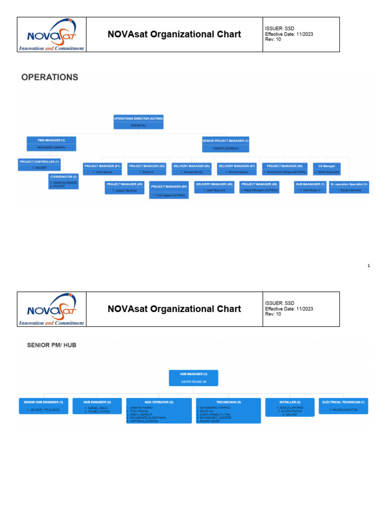 Organizational Chart Operations | PDF