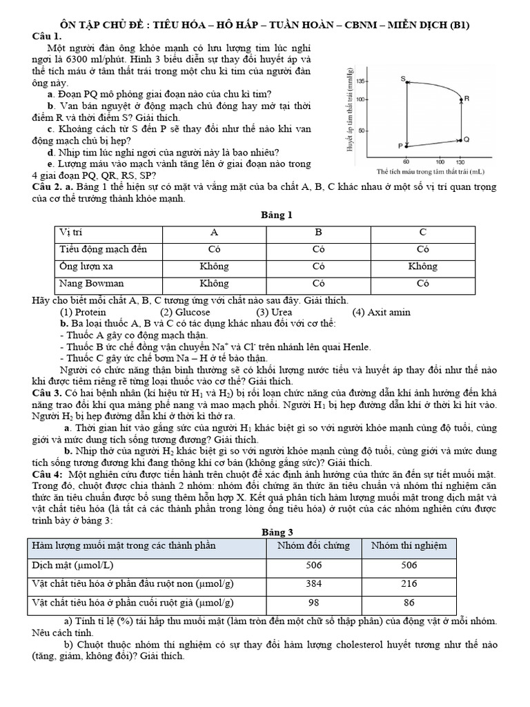 ÔN TẬP CHỦ ĐỀ TIÊU HÓA- HH -TH- CBNM- MD (B1) | PDF
