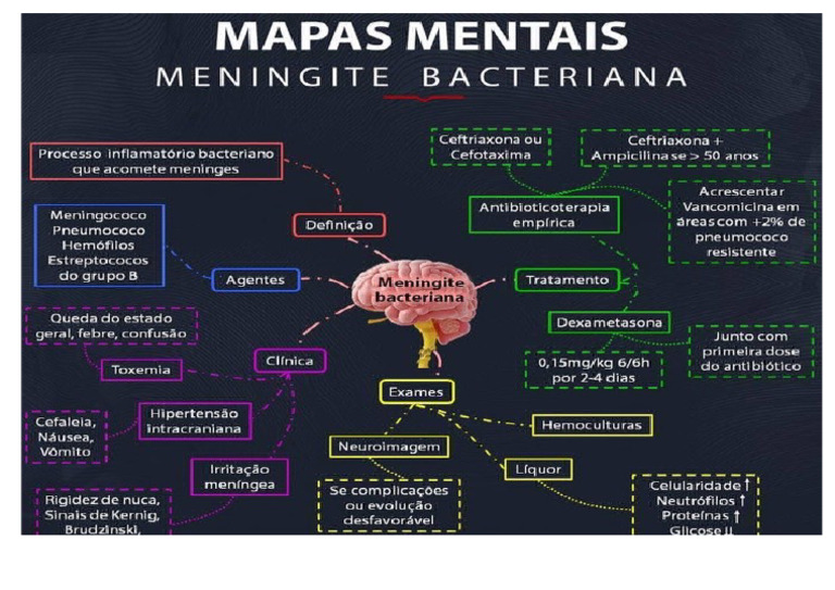 Mapa Mental Meningite | PDF