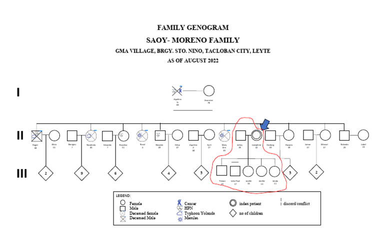 Family Genogram Pdf