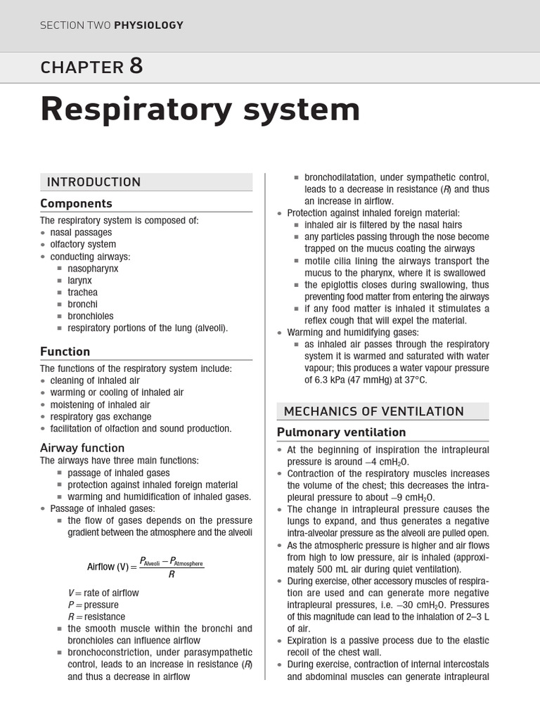 Resp Physio | PDF | Respiratory Tract | Lung
