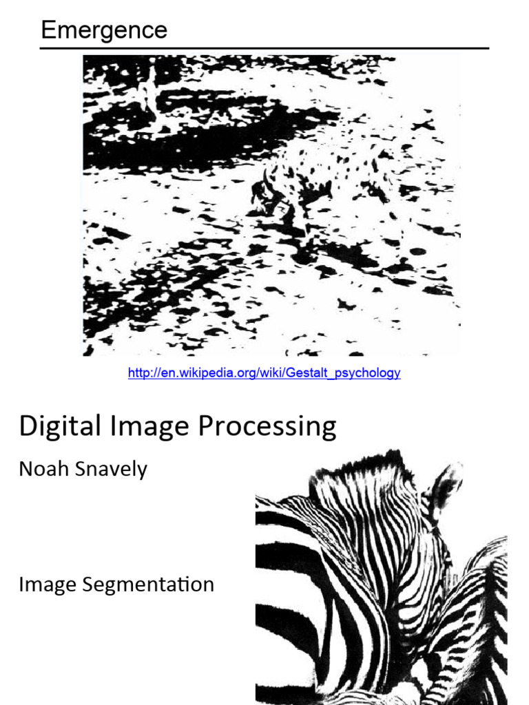 Understanding Image Segmentation Techniques | PDF | Image Segmentation | Cluster Analysis