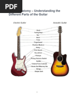 Guitar Overview and Anatomy | PDF | Guitars | String Instruments