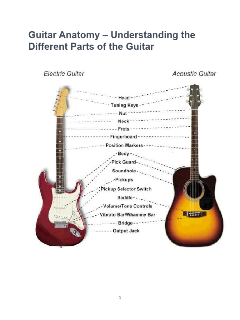 Guitar Anatomy | PDF | Art