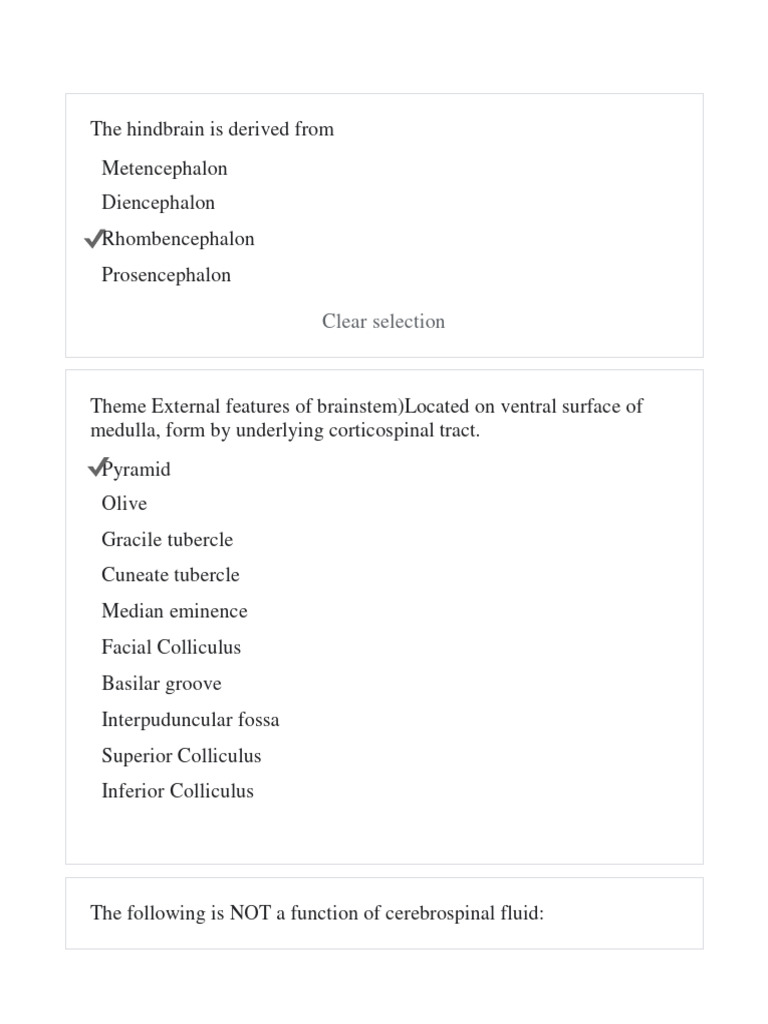 Anatomy (Solved) | PDF | Brainstem | Pituitary Gland Anatomy (Solved) | PDF | Brainstem | Pituitary Gland