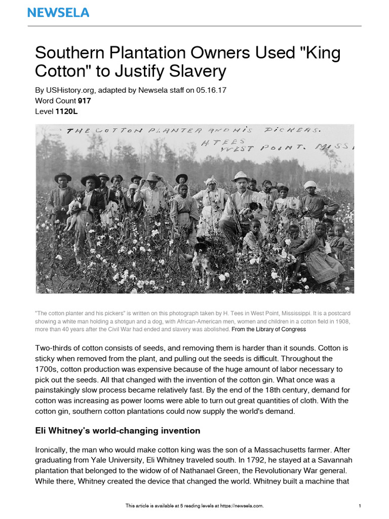 Cotton Economy 1120L | PDF | Cotton | Slavery