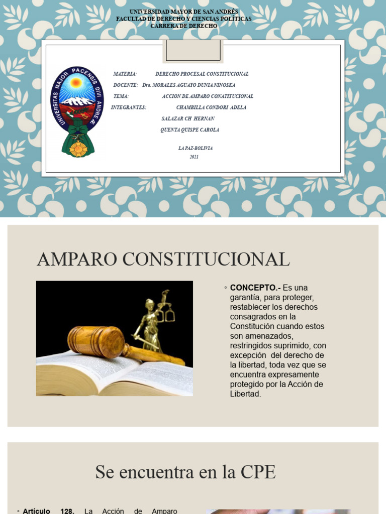 Acción de Amparo Constitucional | PDF | Ley Pública | Justicia