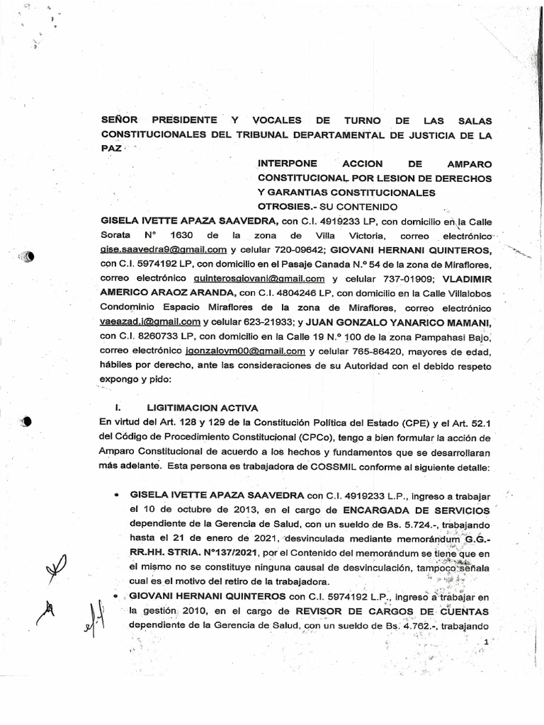 Memorial de Amparo Constitucional Bolivia | PDF