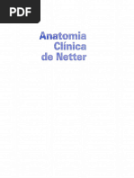 NETTER FLASH CARDS PORTUGUÊS - Colorido | PDF | Pescoço | Anatomia