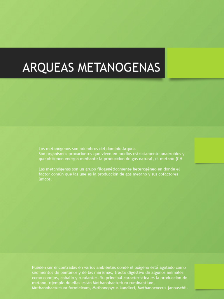 Arqueas Metanogenas | PDF | Archaea | Metano