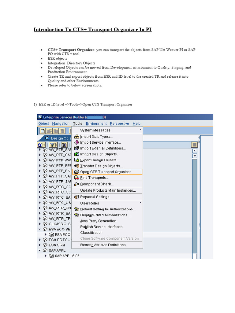 Step-By-Step CTS+ Transport Organizer in PI | PDF