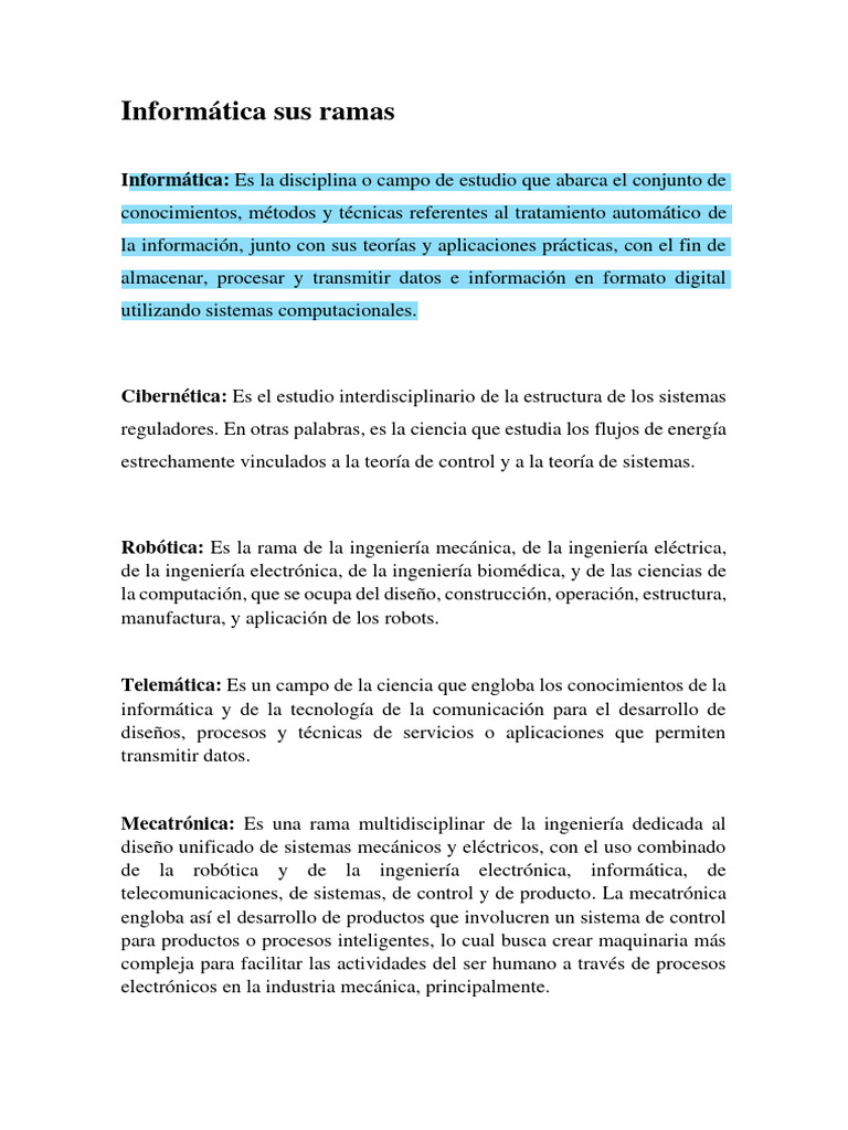 Informática y Sus Ramas | PDF