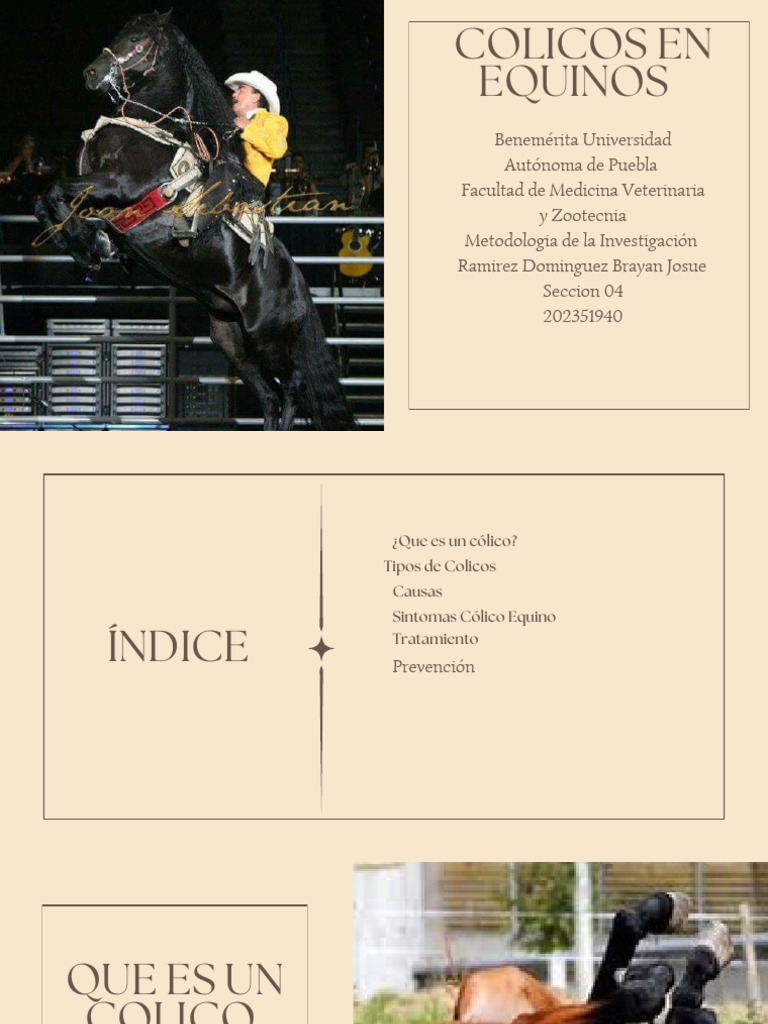 Cólico Equino: Tipos, Síntomas y Prevención | PDF | Medicina CLINICA ...