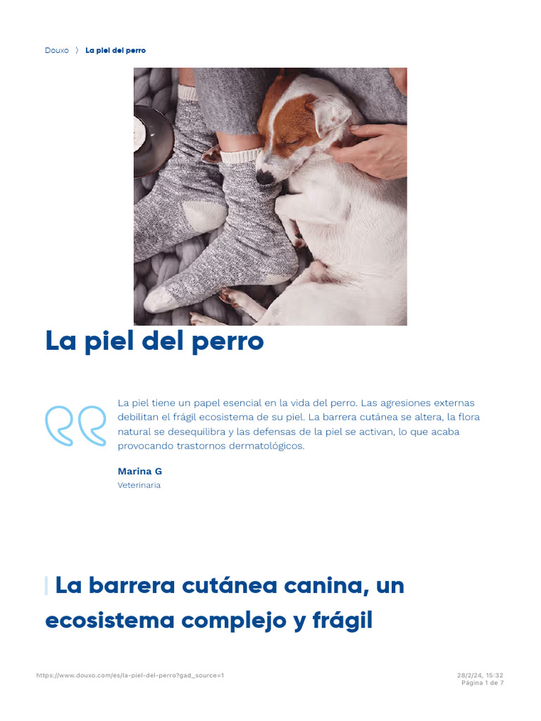 Dog's Skin - Skin Barrier and Skin Disorders - Your Dog's Skin - Douxo ...