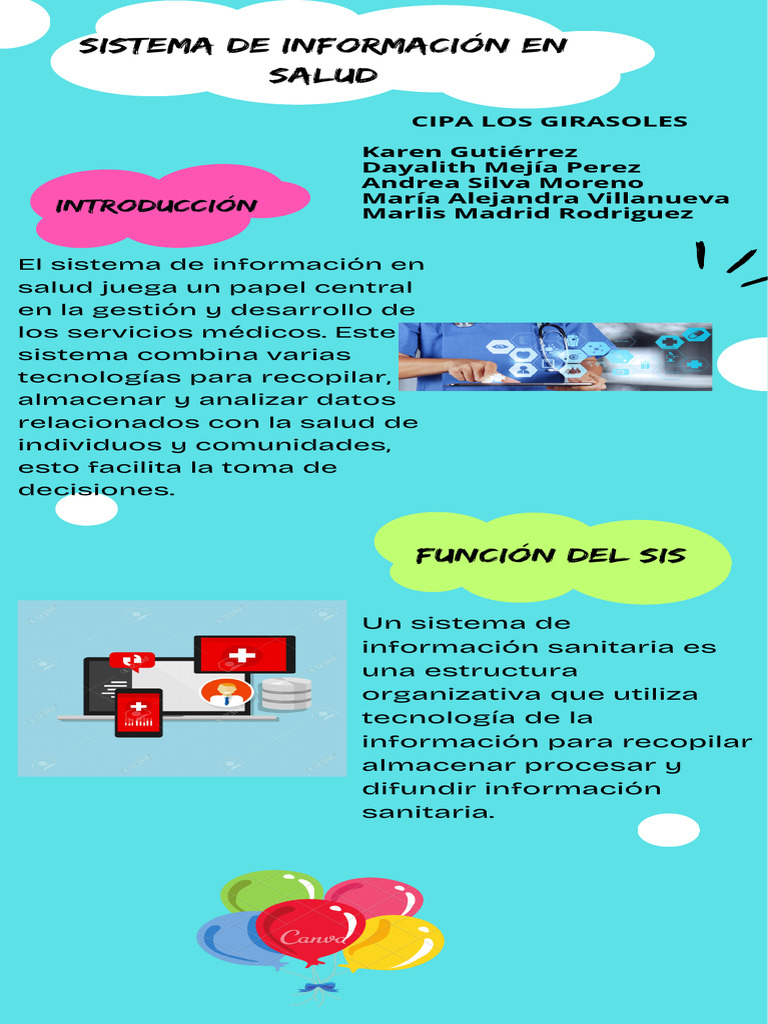 SISTEMA DE INFORMACIÓN EN SALUD | PDF | Cuidado de la salud | Medicina