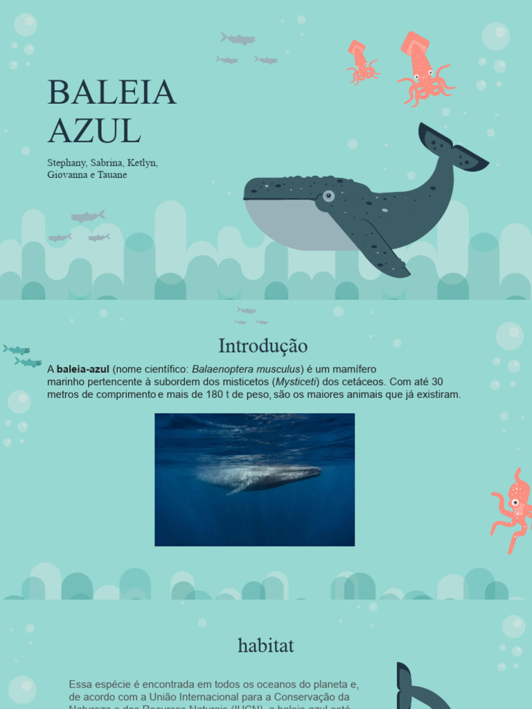 Trabalho Baleia Azul | PDF | Baleias