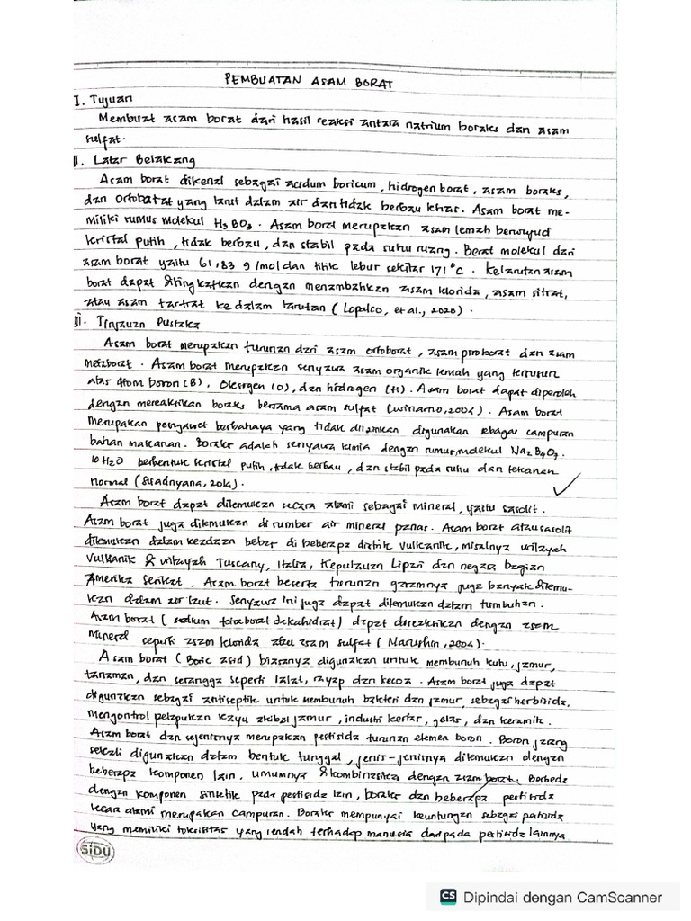 DRA - Pembuatan Asam Borat | PDF