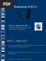 ECG Rhythm Analysis - Life in The Fast Lane ECG Library | PDF | Computers