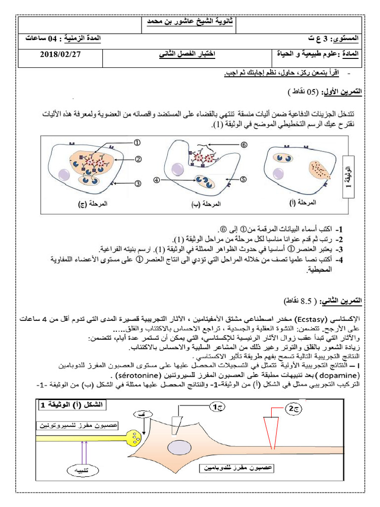 3as Se Sciences t2 2018 0004 | PDF