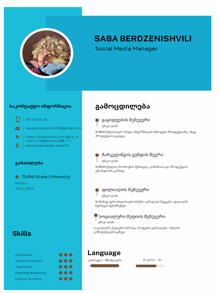 Saba Berdzenishvili - CV | PDF