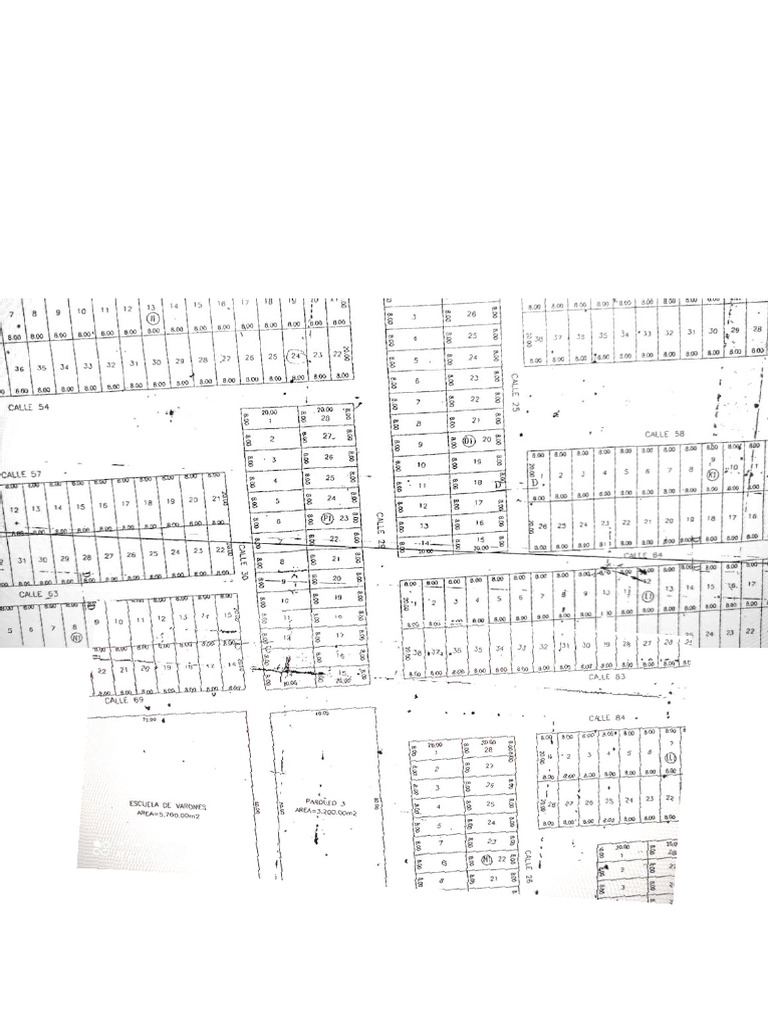 LOTES | PDF