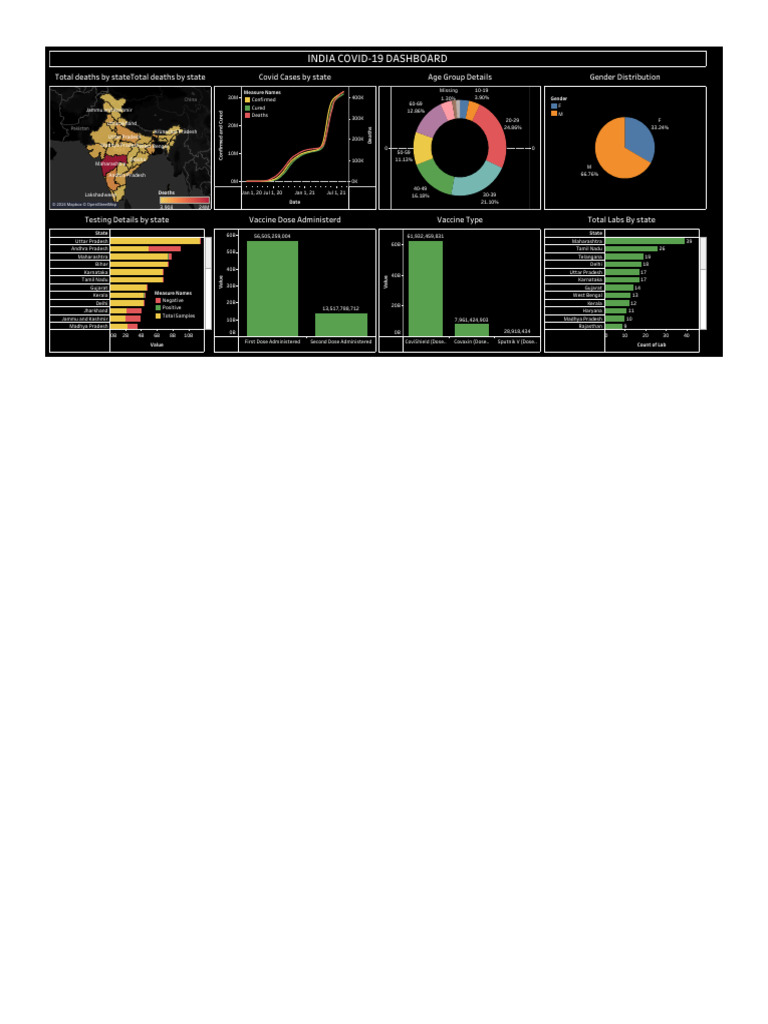 Dashboard 1 | PDF | Public Health | Pediatrics