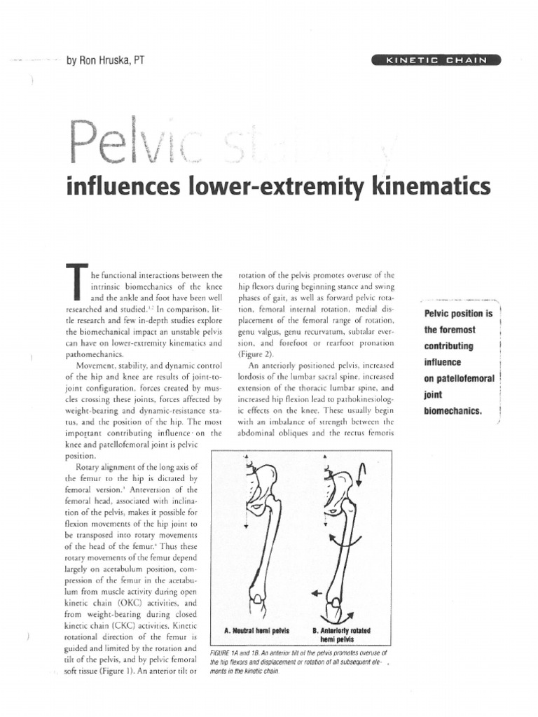 Pelvic Stability | PDF
