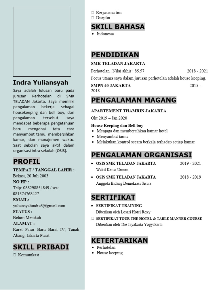 CV - Indra 20 | PDF