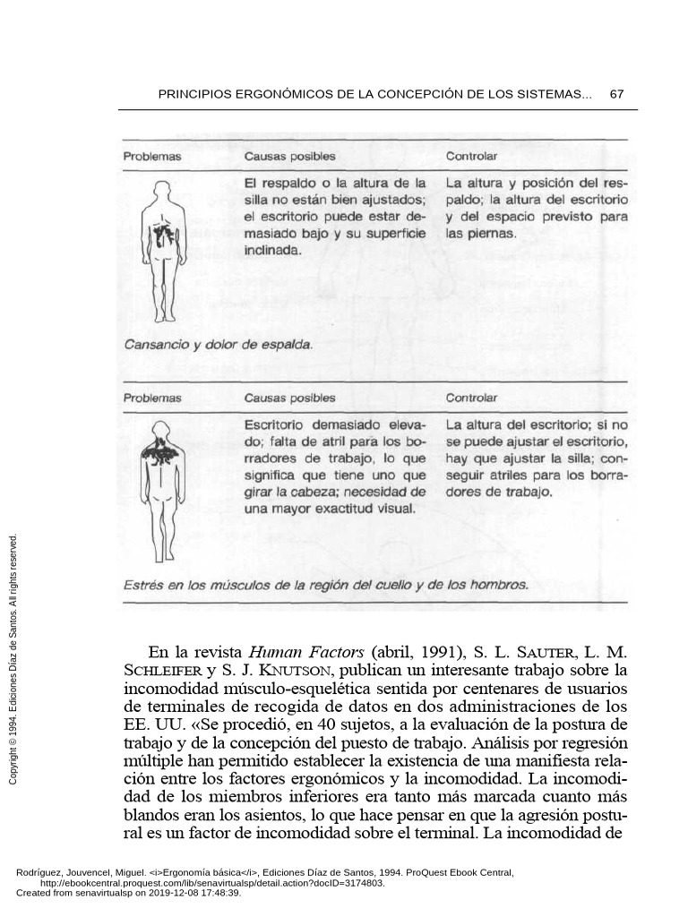 Ergonomía - Básica - (Esquema) | PDF | Dolor lumbar | La columna vertebral