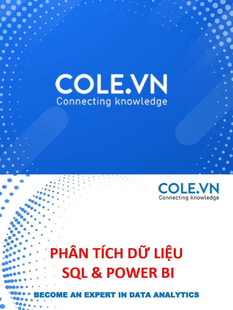 PBI Course Lesson 3 | PDF