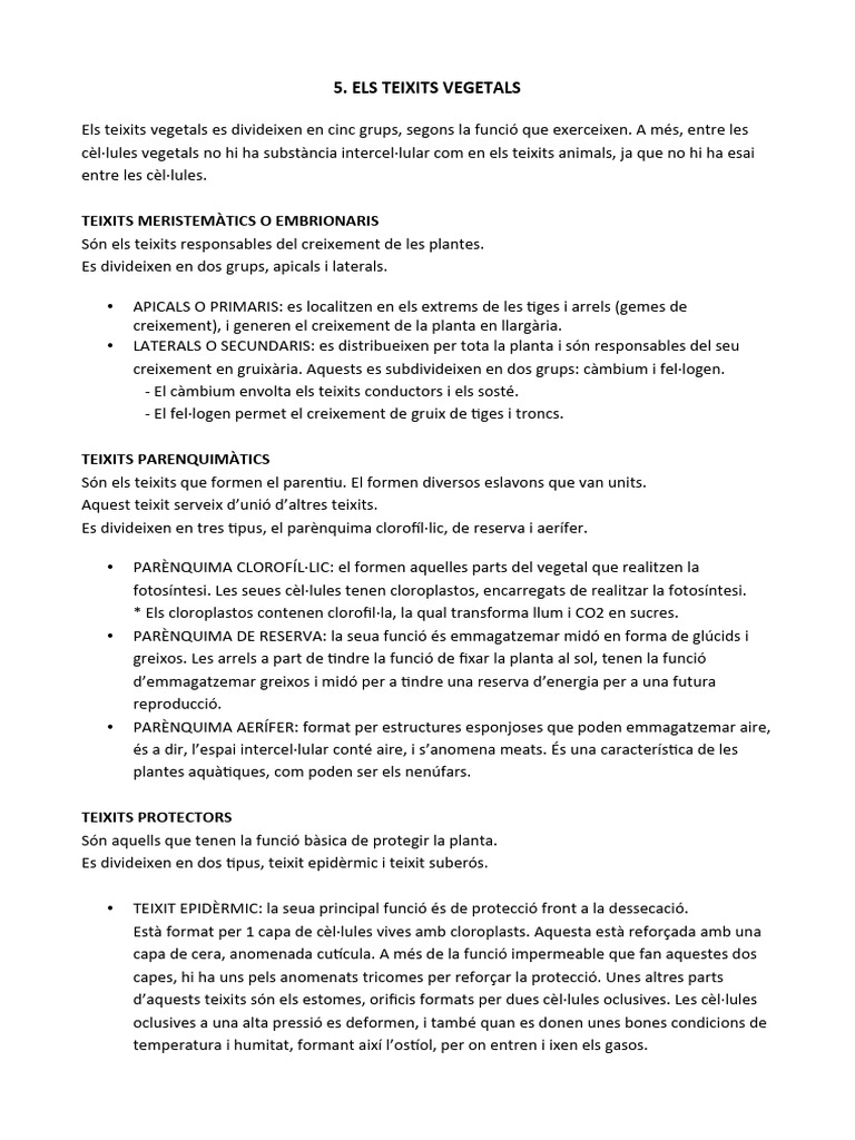 Teixits Vegetals | PDF