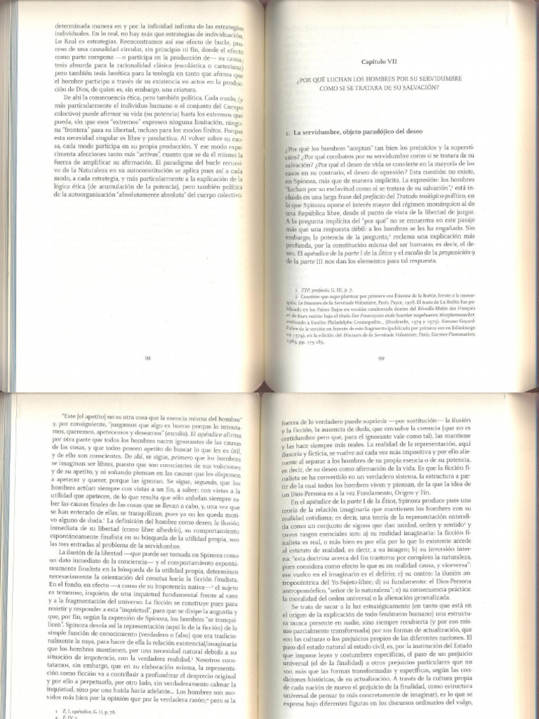 Bove La Estrategia Del Conatus Cap. VII | PDF | Baruch Spinoza | Nación