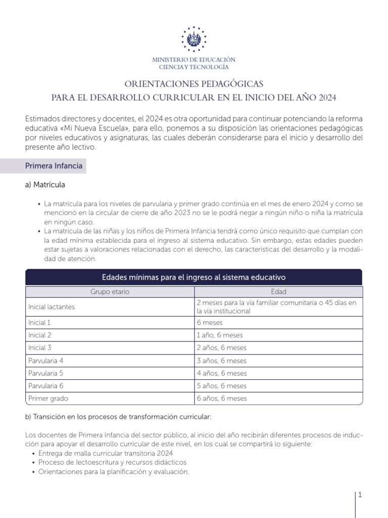 Orientaciones Pedagogicas 2024 | PDF | Enseñando | Plan de estudios
