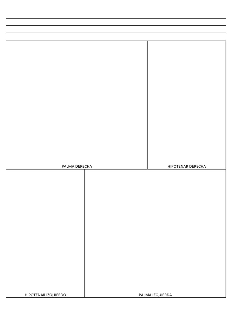 AFIS Ficha Palmar e Hipotenar | PDF