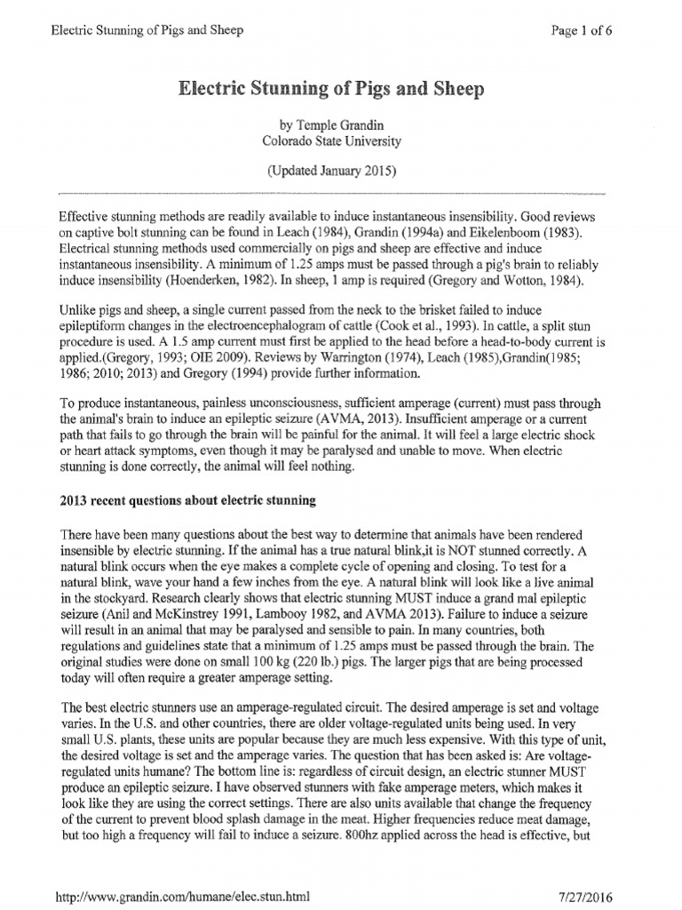 2015 Electric Stunning of Pigs and Sheep Temple Grandin | PDF