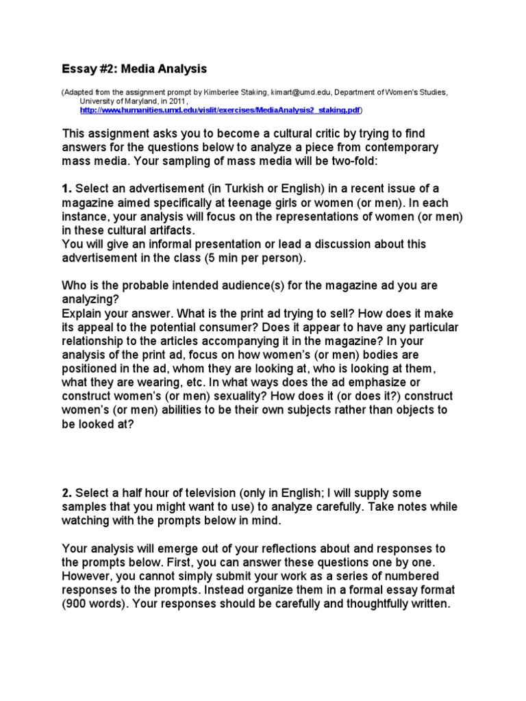 Media Analysis Essay Guidelines | PDF | Advertising | Race (Human ...
