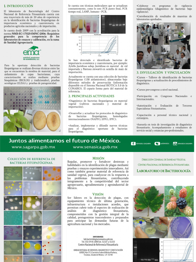 5.-Tr Ptico - Bacteriolog A.publisher | PDF