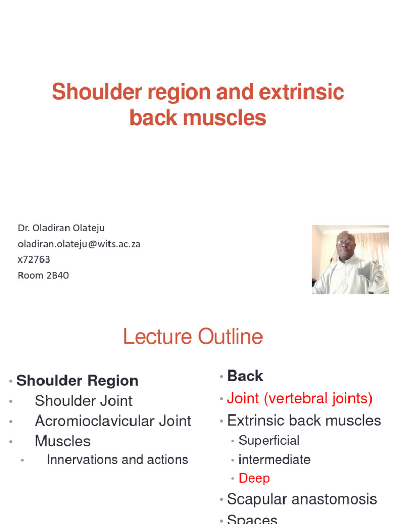 1 Shoulder Region, Shoulder Joint and Superficial Back - 2 Feb | PDF ...