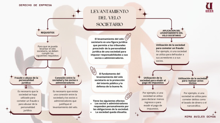 Levantamiento de Velo Societario Mapa Mental | PDF | Pinchando el velo ...