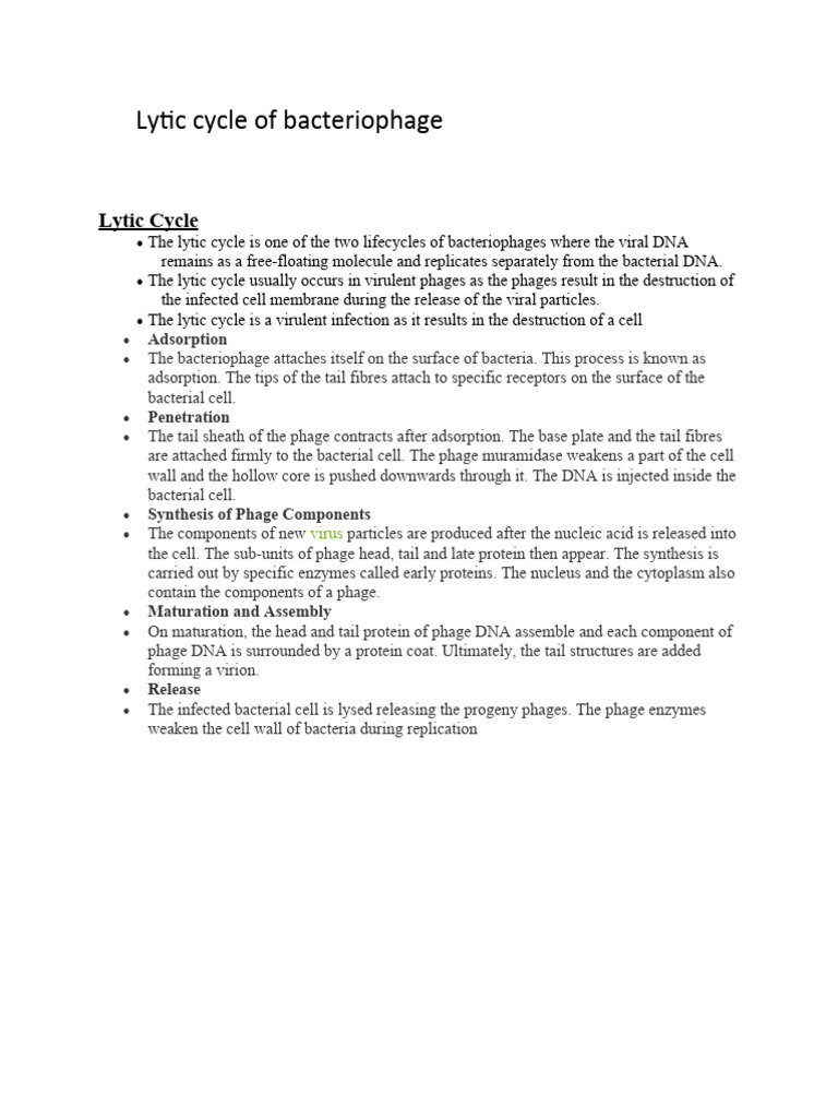 Lytic Cycle of Bacteria | PDF