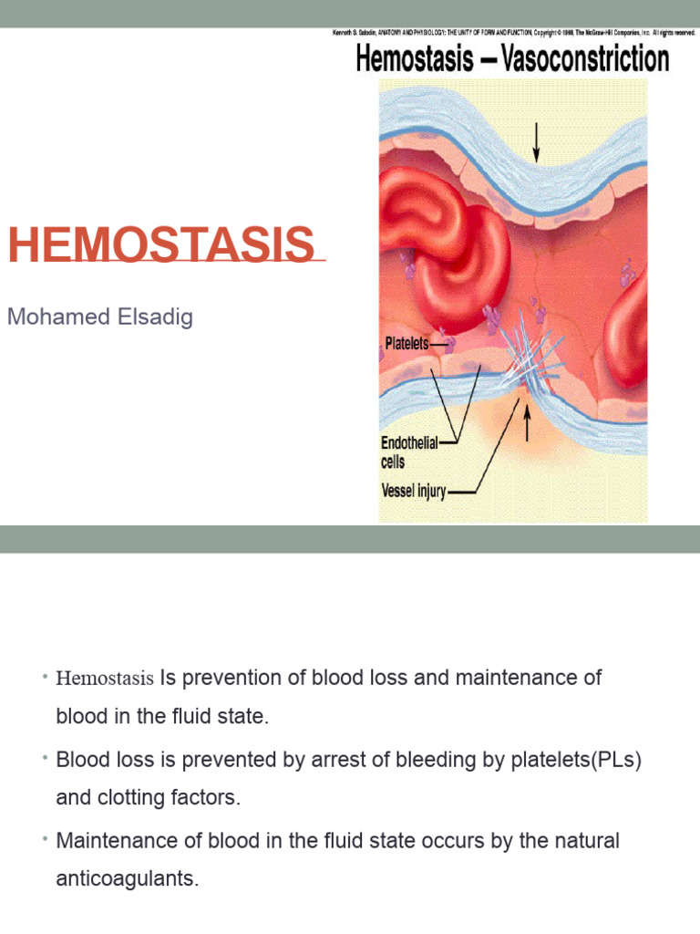Lec 8 Hemostasis | PDF | Coagulation | Platelet