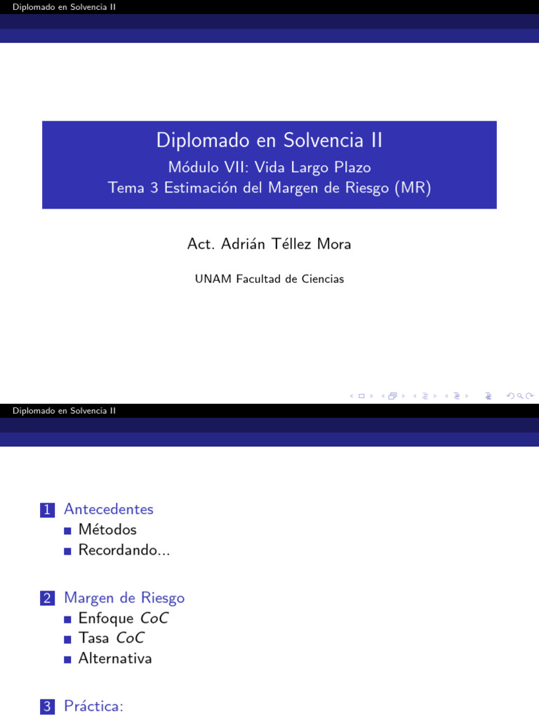 "Estimación del Margen de Riesgo en Solvencia II" | PDF | Duración del bono | Deuda